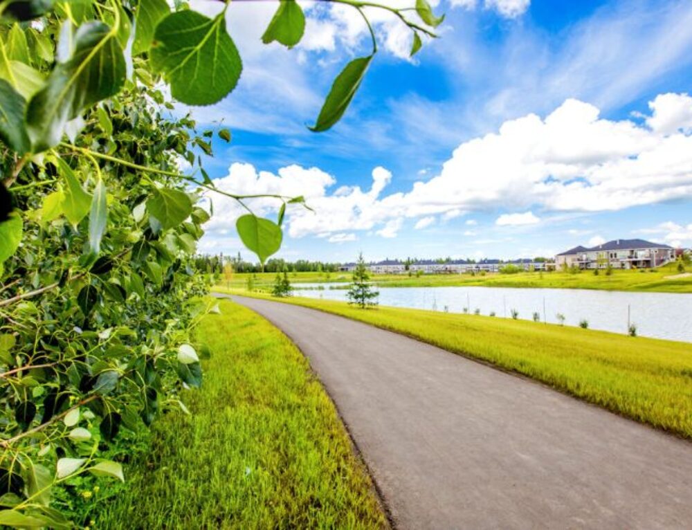 Regular Lots and Zero Lot Lines | Blog | Sterling Homes Group