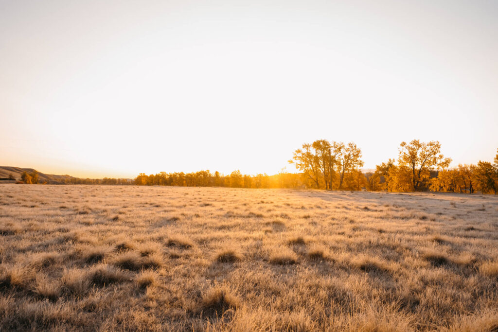 Logan Landing - A New Community in Southeast, Calgary, Alberta ...