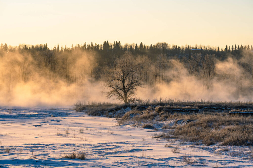 Logan Landing - A New Community in Southeast, Calgary, Alberta ...